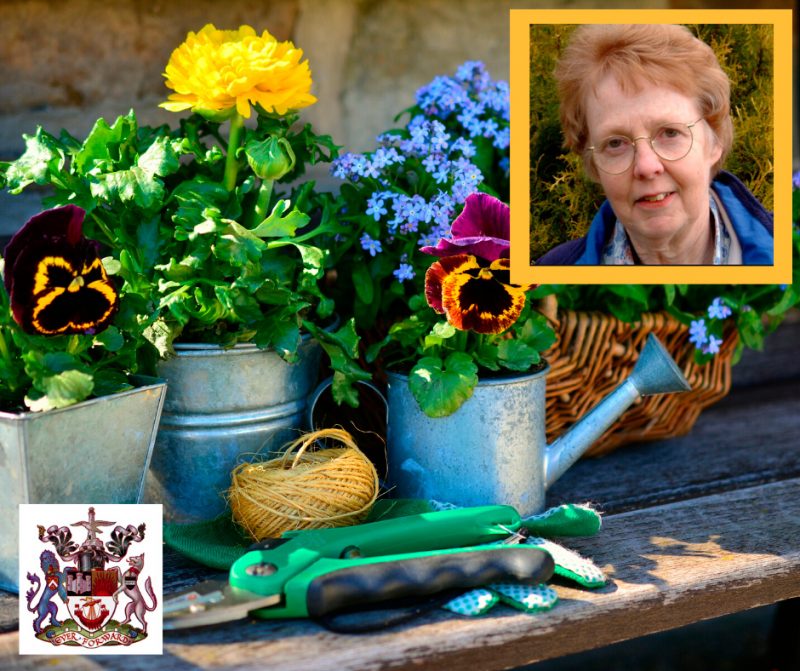 Facebook live Q&A with BBC’s gardening expert Mary Payne - Weston-super ...